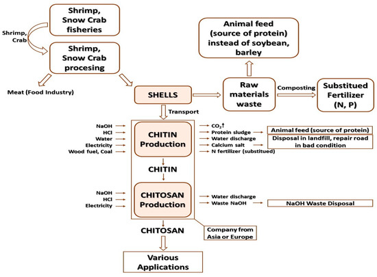 Chitin and Chitosan as Polymers of the Future—Obtaining, Modification ...
