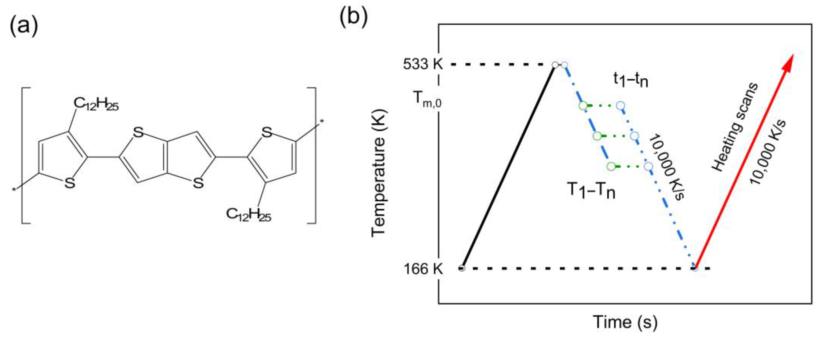 Physical Aging Behavior of the Side Chain of a Conjugated Polymer PBTTT