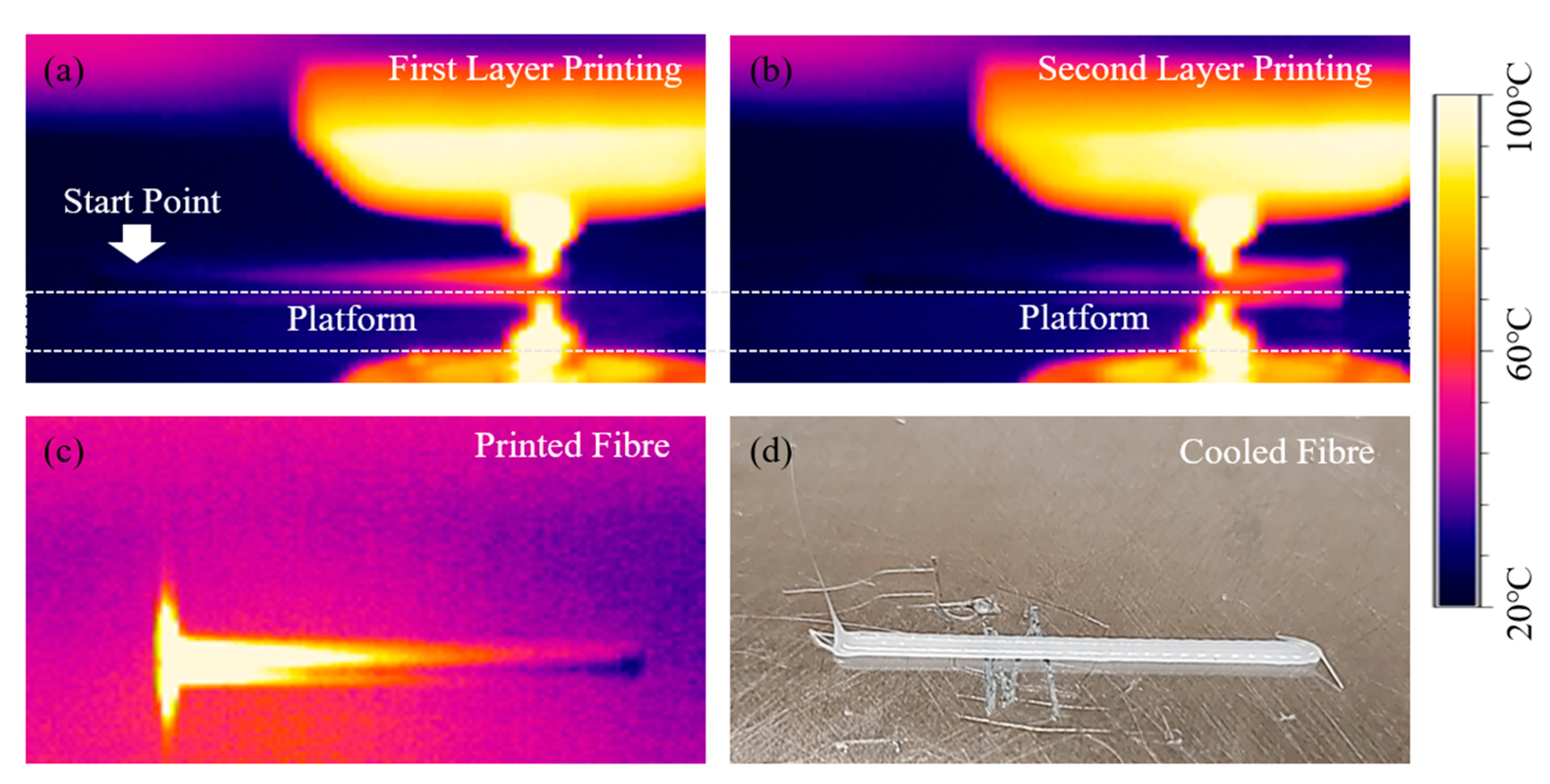 Multi-Stage Thermal Modelling of Extrusion-Based Polymer Additive ...