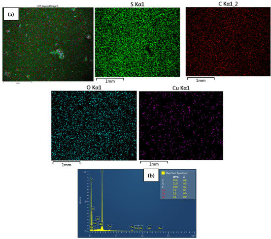 Polymers | Free Full-Text | Multifunctional Heterogeneous Ion-Exchange ...