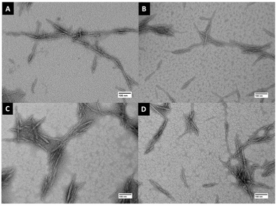 Carboxylated Cellulose Nanocrystals Decorated with Varying Molecular ...