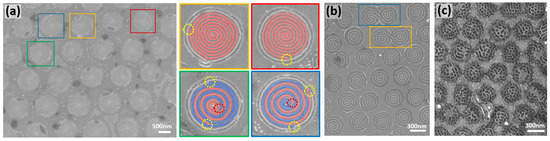 Dewetting-Induced Hierarchical Self-Assembly of Block Copolymers ...