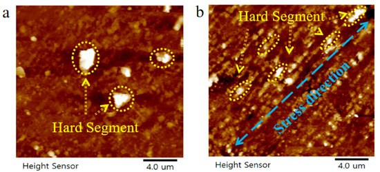 Cyclic Deformation and Fatigue Failure Mechanisms of Thermoplastic ...