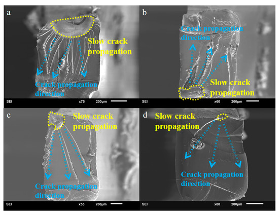 Cyclic Deformation and Fatigue Failure Mechanisms of Thermoplastic ...