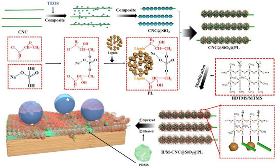 Construction of CNC@SiO2@PL Based Superhydrophobic Wood with Excellent ...