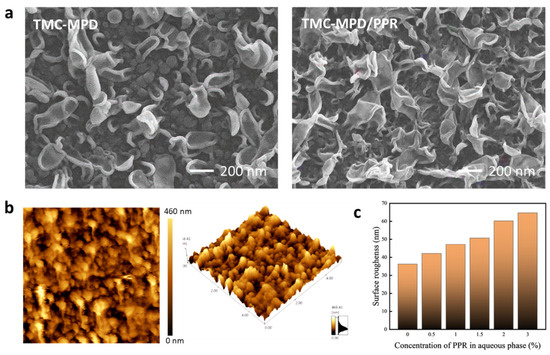 High-Performance Polyamide Reverse Osmosis Membrane Containing Flexible ...