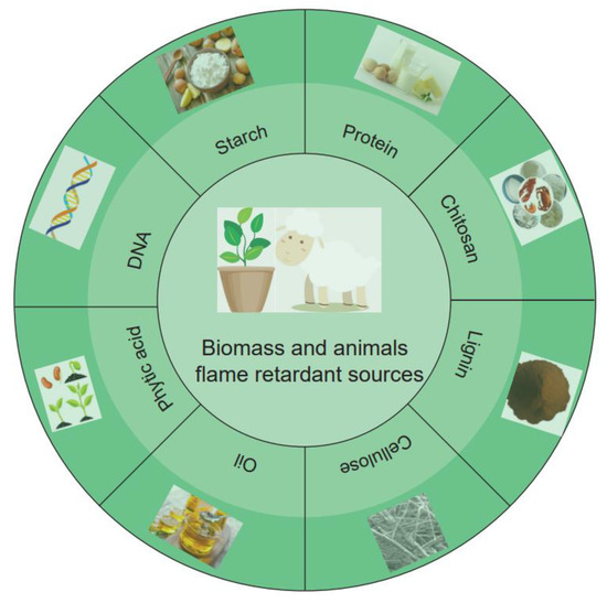 Research and Application of Biomass-Based Wood Flame Retardants: A Review