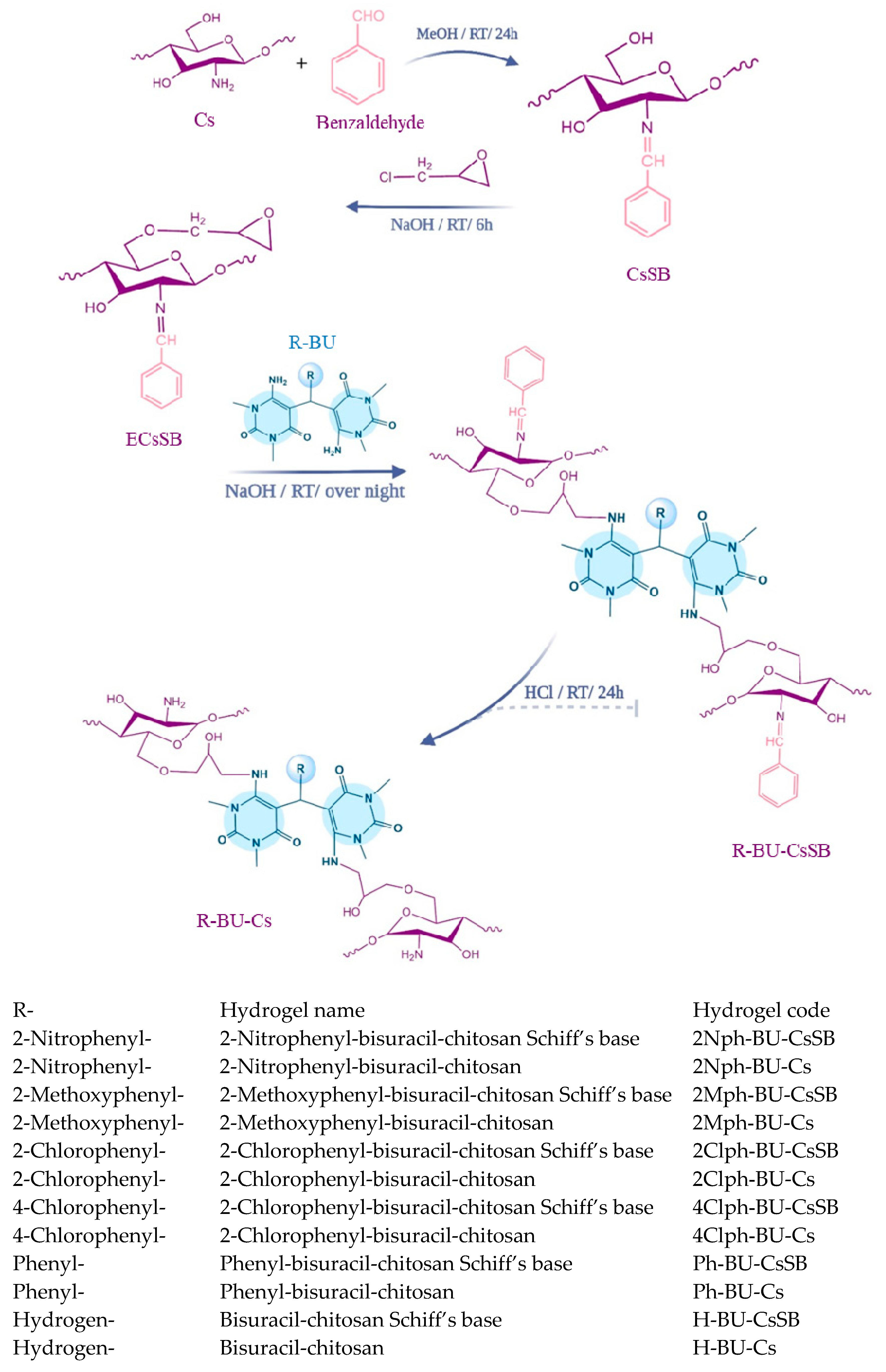 Design, Synthesis, and Characterization of Novel Bis-Uracil Chitosan Hydrogels Modified with ...