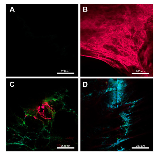 Antimicrobial Formulation of a Bacterial Nanocellulose/Propolis ...
