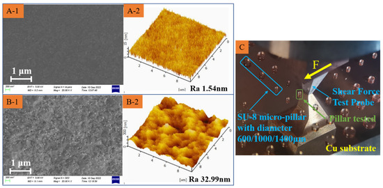 Preparation of Highly Stable Polymer Microstructure with Enhanced ...