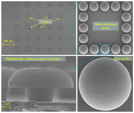 Preparation of Highly Stable Polymer Microstructure with Enhanced Adhesion Strength by Pushpin ...