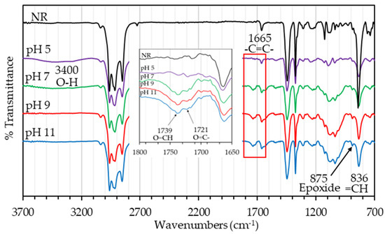 Study on Degradation of Natural Rubber Latex Using Hydrogen Peroxide ...