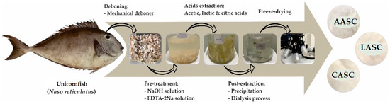 Biochemical and Microstructural Characteristics of Collagen Biopolymer ...
