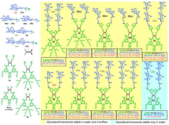 Polymers | Free Full-Text | Assembling Complex Macromolecules and Self-Organizations of ...
