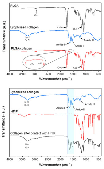 Polymers | Free Full-Text | Effect of Electrospun PLGA/Collagen ...