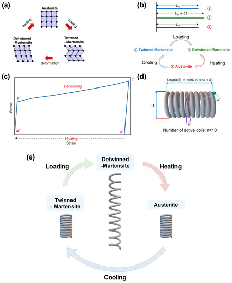 A Shape Memory Alloy-Based Soft Actuator Mimicking an Elephant’s Trunk