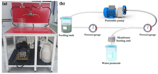 Wastewater Treatment of Real Effluents by Microfiltration Using Poly ...