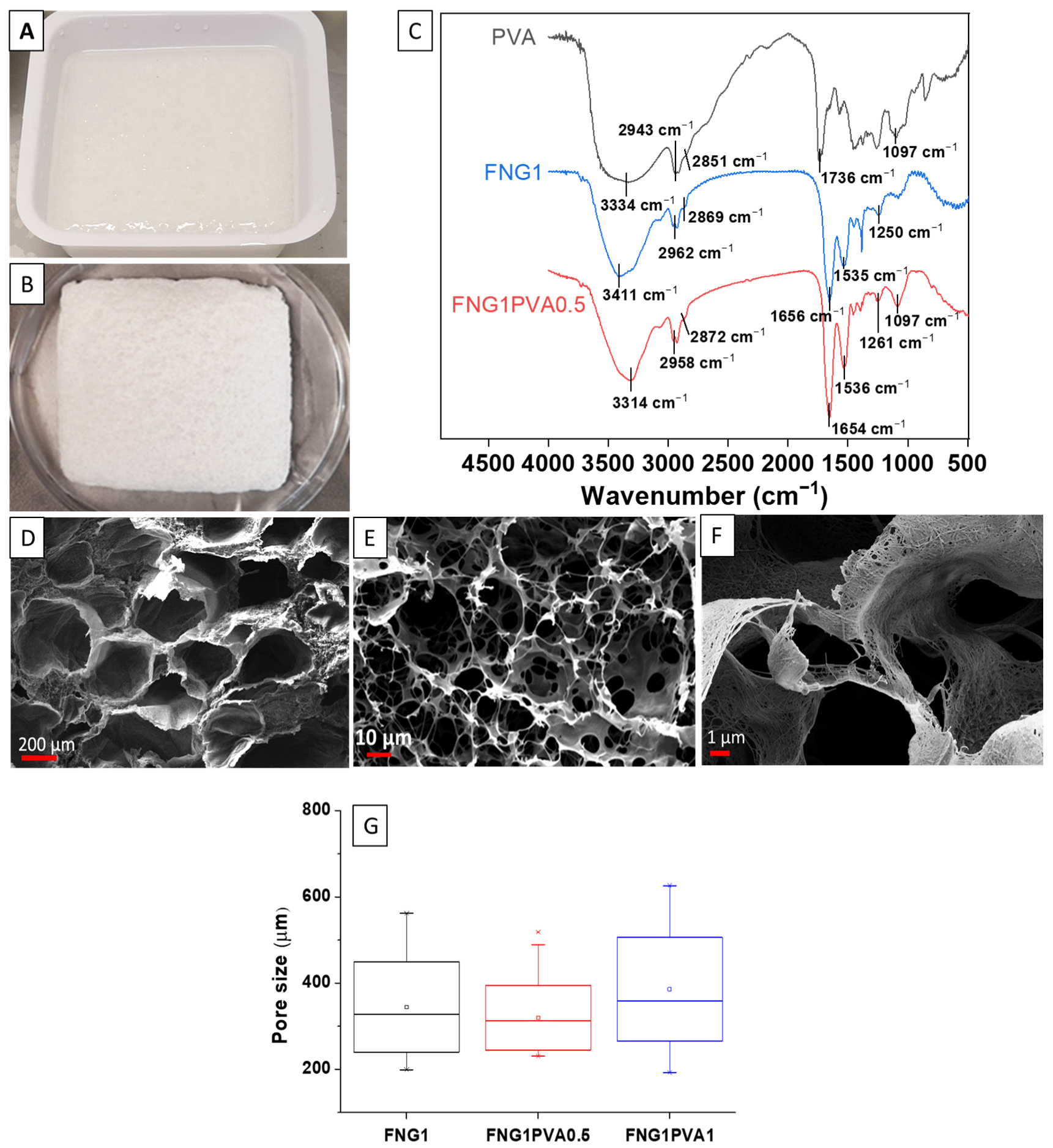 Fabrication of Fibrin/Polyvinyl Alcohol Scaffolds for Skin Tissue ...