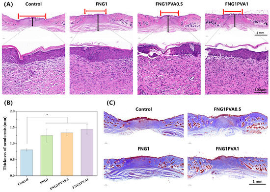 Fabrication of Fibrin/Polyvinyl Alcohol Scaffolds for Skin Tissue ...