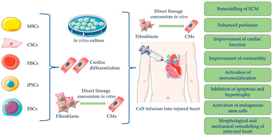 Progress in Biomaterials for Cardiac Tissue Engineering and Regeneration