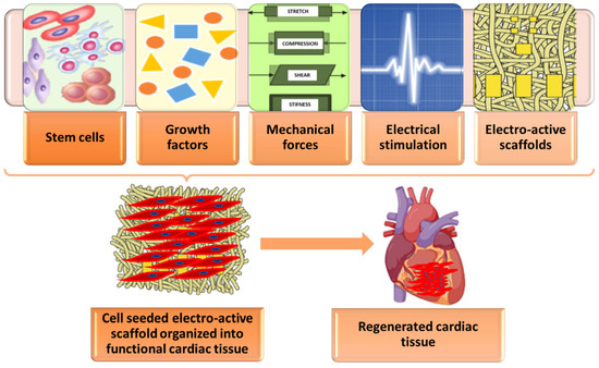 Progress in Biomaterials for Cardiac Tissue Engineering and Regeneration