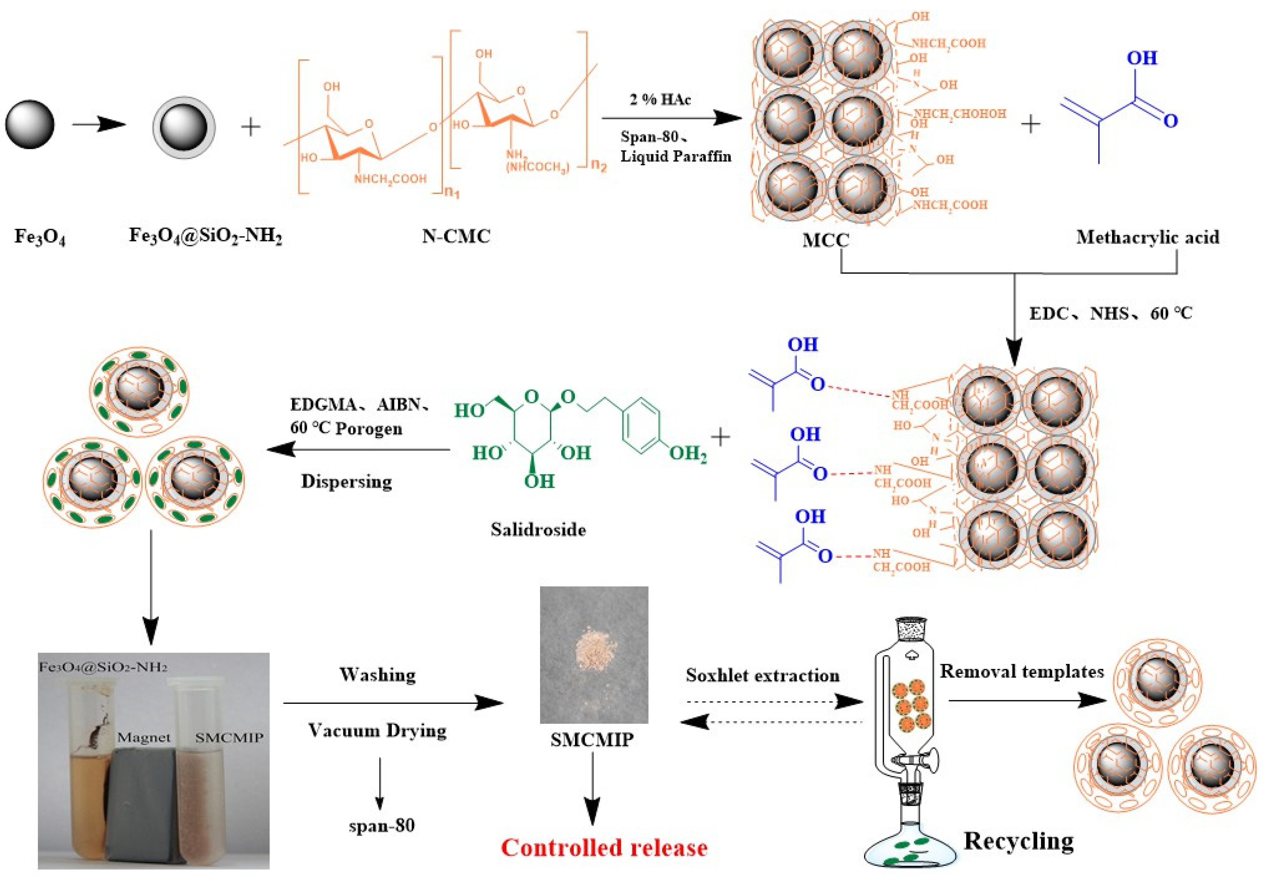 Polymers | Free Full-Text | Development of an Fe3O4 Surface-Grafted ... Polymers | Free Full-Text | Development of an Fe3O4 Surface-Grafted ...
