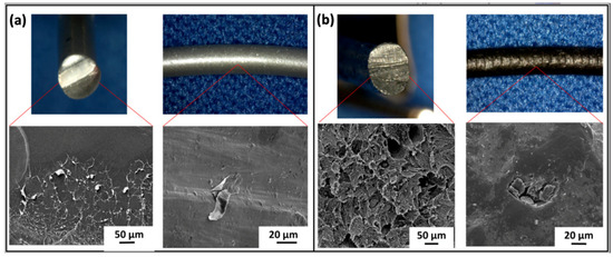 Recent Advances in the Investigation of Poly(lactic acid) (PLA ...