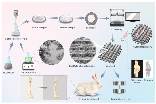 Recent Advances in the Investigation of Poly(lactic acid) (PLA ...