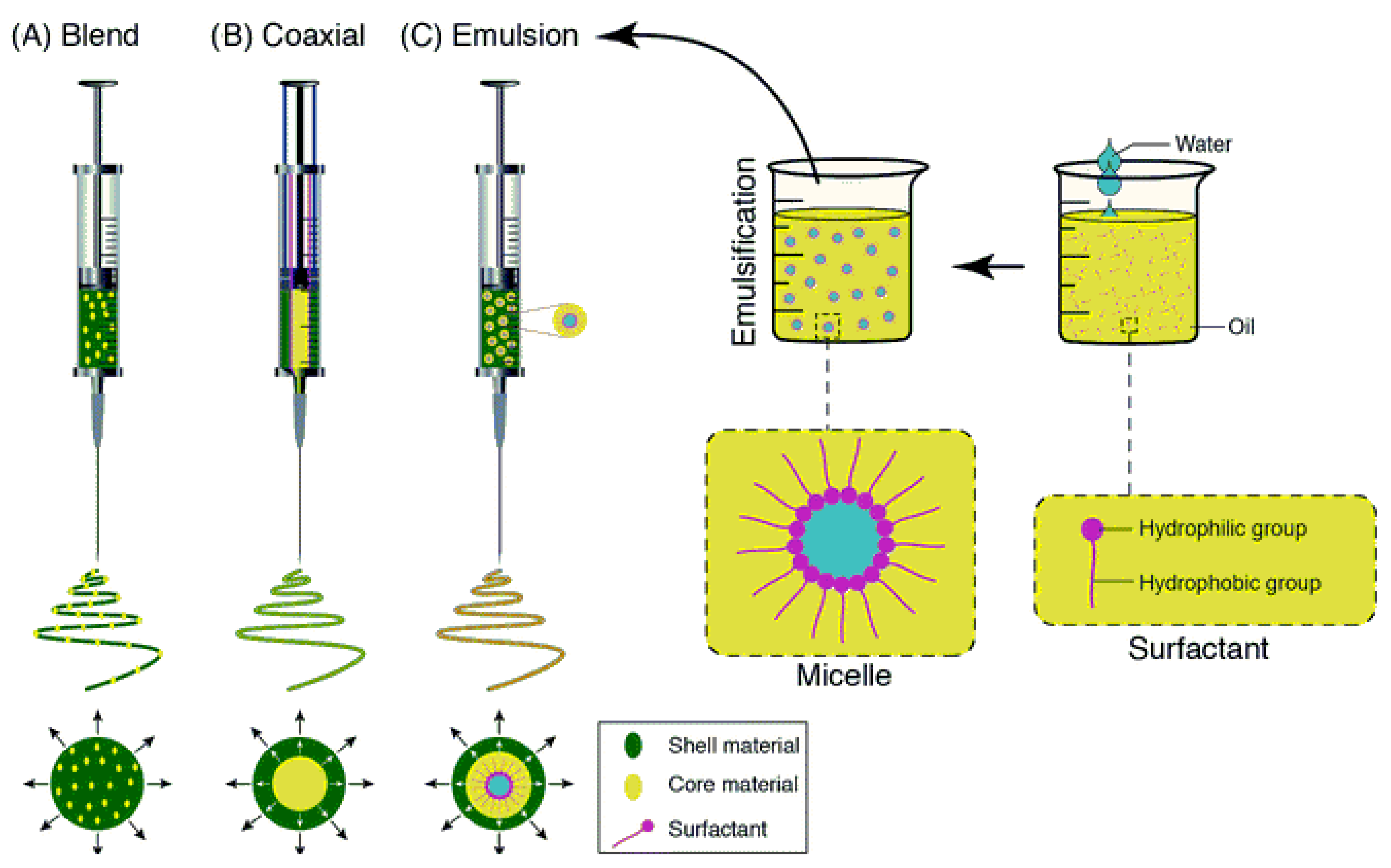 Polymers | Free Full-Text | Biofunctionalization and Applications of ...