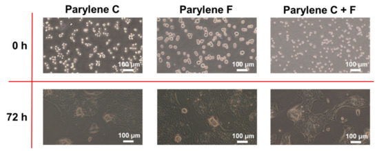 Copolymerization of Parylene C and Parylene F to Enhance Adhesion and Thermal Stability without ...