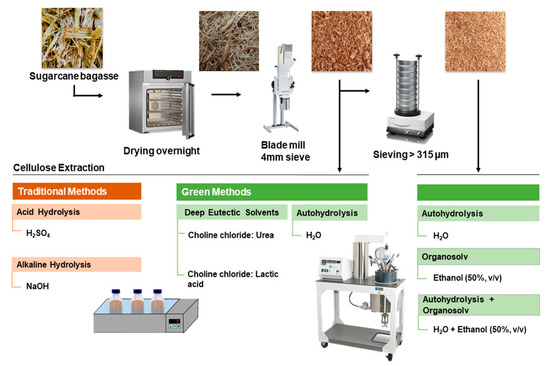 Comparative Study of Green and Traditional Routes for Cellulose ...