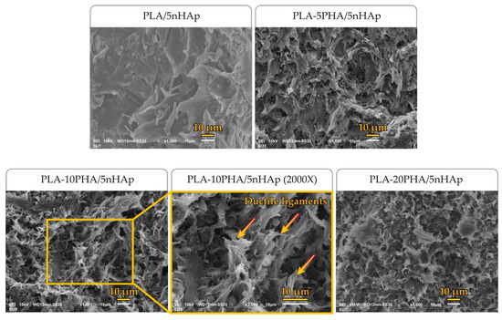 Biodegradable Polylactic Acid-Polyhydroxyalkanoate-Based Nanocomposites ...