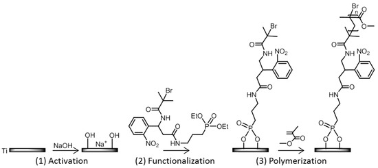 Use of a Photocleavable Initiator to Characterize Polymer Chains ...