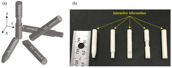 Tribological Properties of Glass Bead-Filled Polyamide 12 Composite ...