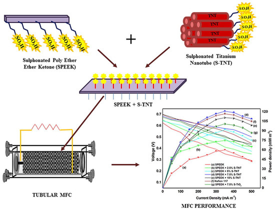 Effect of Sulfonated Inorganic Additives Incorporated Hybrid Composite ...