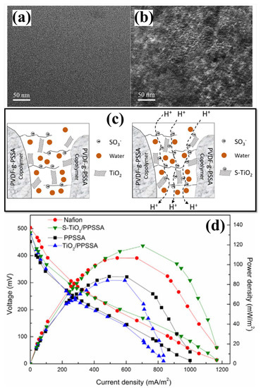 Effect of Sulfonated Inorganic Additives Incorporated Hybrid Composite ...