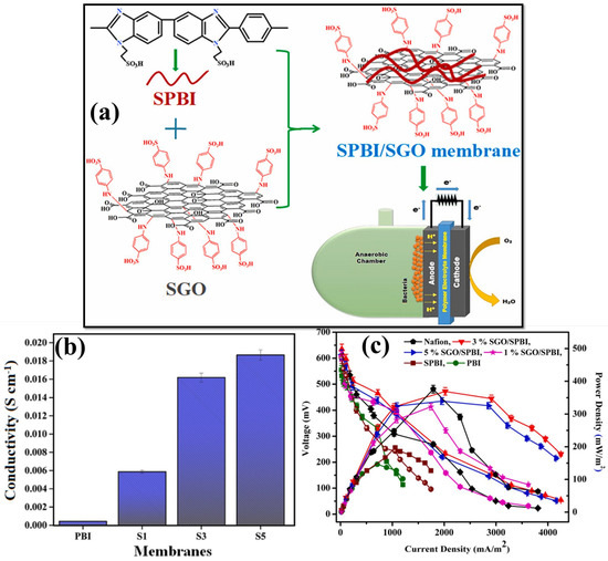 Effect of Sulfonated Inorganic Additives Incorporated Hybrid Composite ...