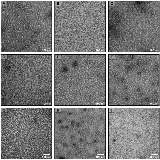 Polymers | Free Full-Text | Structural and Biochemical Characterization ...