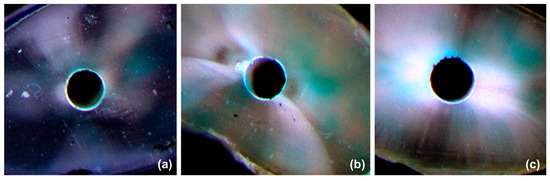 Polymers | Free Full-Text | Dislodgment Resistance, Adhesive Pattern ...