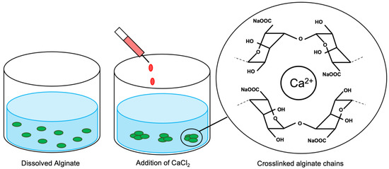 Synthesis of Alginate Nanoparticles Using Hydrolyzed and Enzyme ...