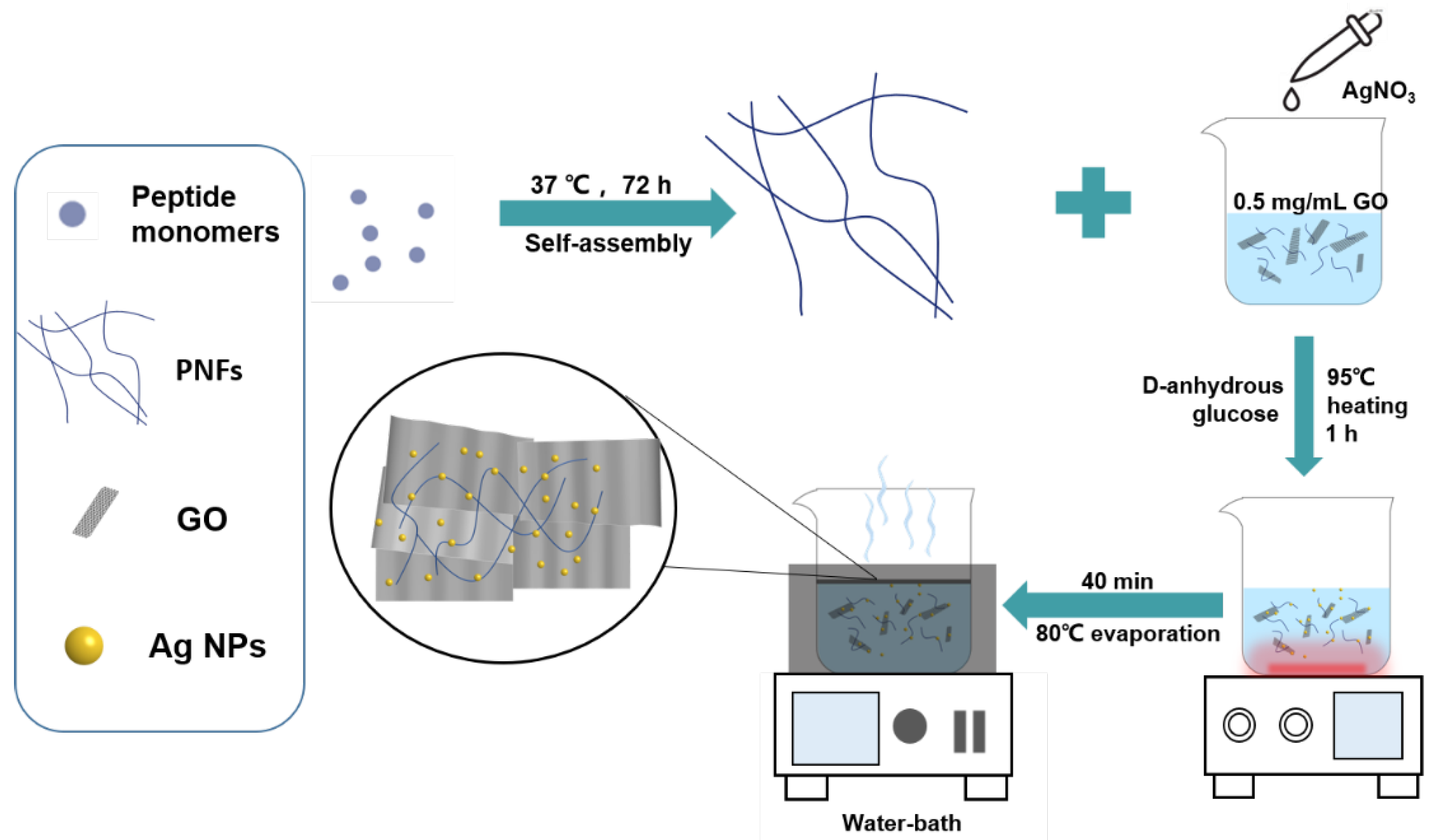 Solvent-Evaporation-Induced Synthesis of Graphene Oxide/Peptide ...