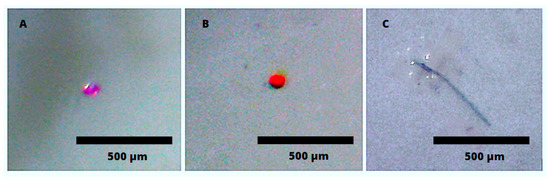 Microplastic Removal from Drinking Water Using Point-of-Use Devices