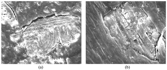 Polymers | Free Full-Text | Characterisation of Polypropylene Composite ...
