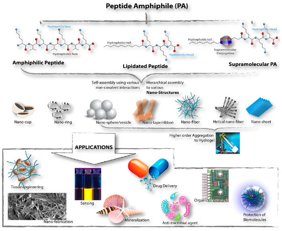 Structural Strategies for Supramolecular Hydrogels and Their Applications
