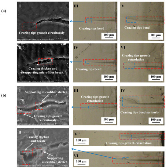 Crazing Initiation and Growth in Polymethyl Methacrylate under Effects ...