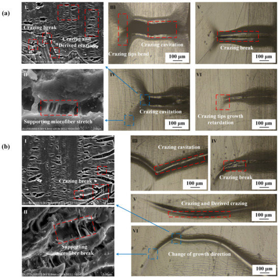 Crazing Initiation and Growth in Polymethyl Methacrylate under Effects ...