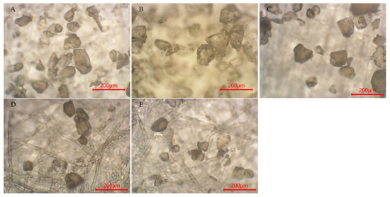 Study on the Extraction Method of Microplastic System in Textile Wastewater