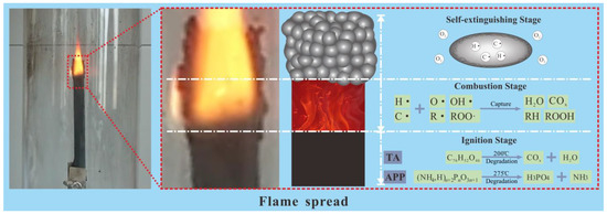 Carbon Nanotube-Based Intumescent Flame Retardants Achieve High ...