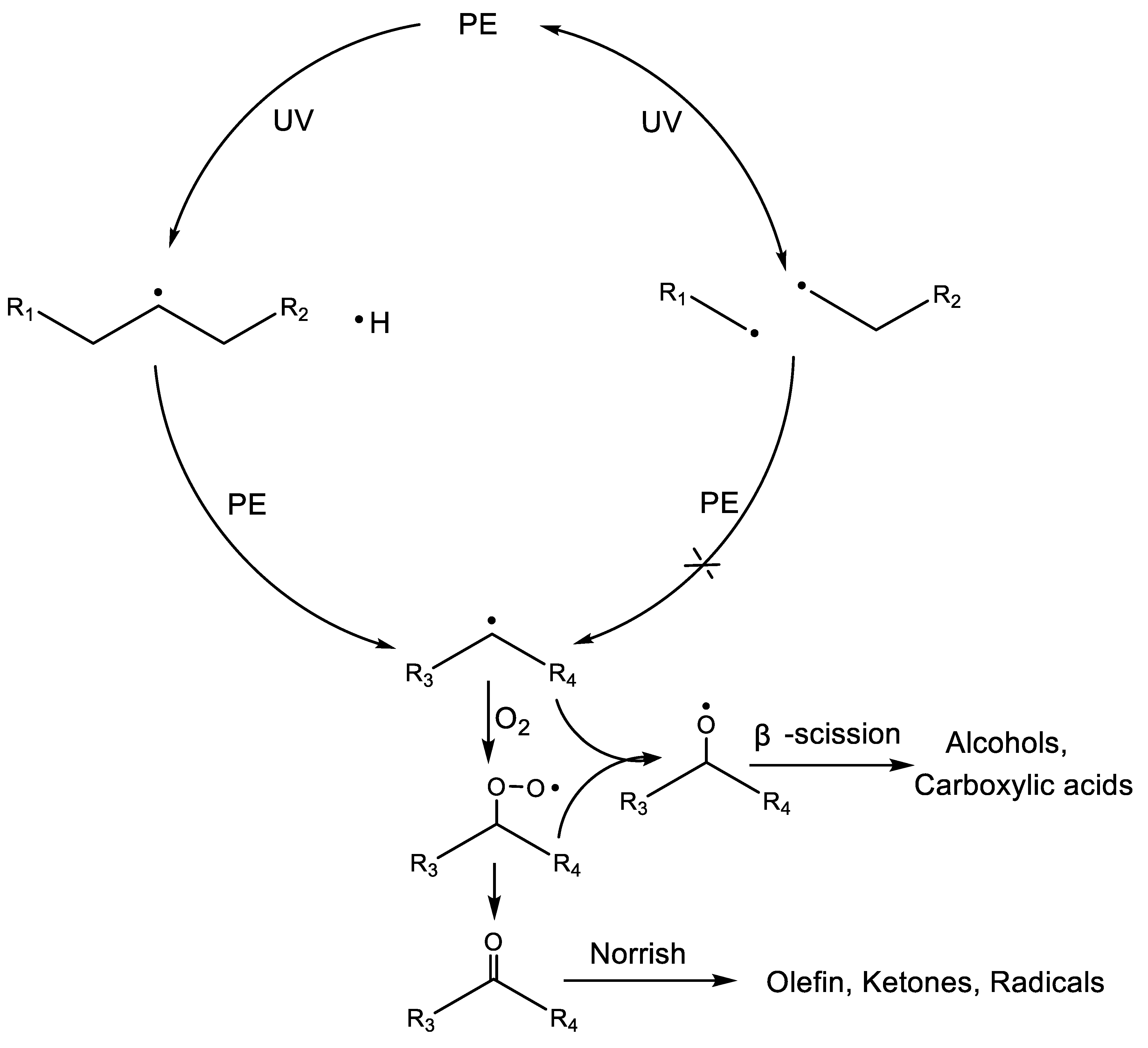 Study on the Mechanism of Molecular Weight Reduction of Polyethylene ...