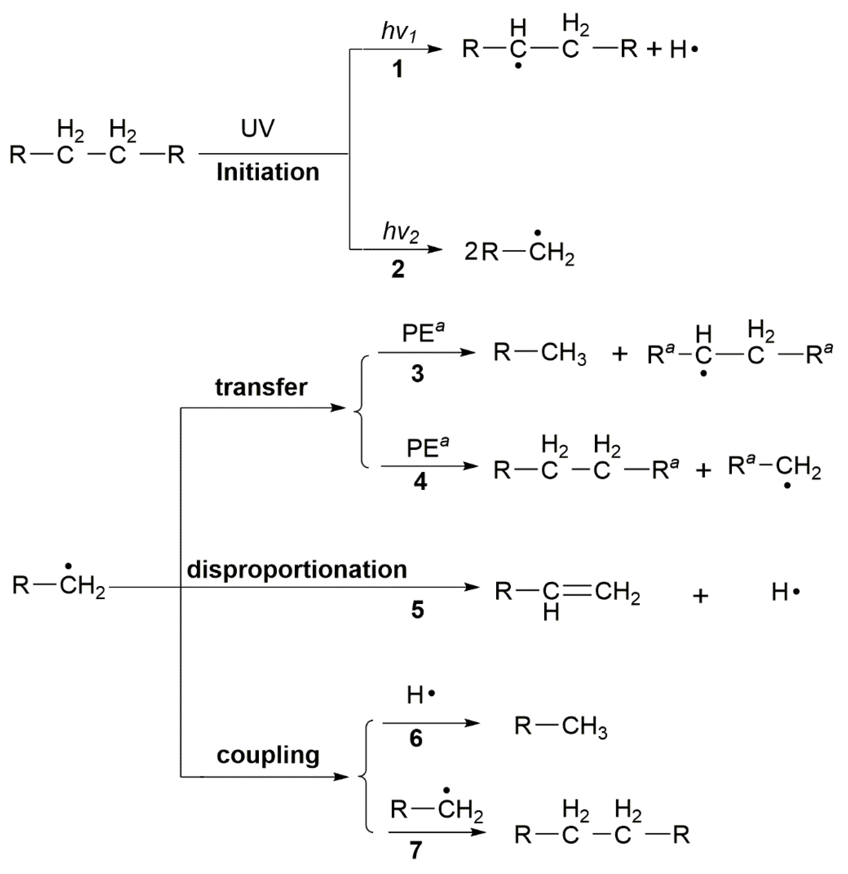 Study on the Mechanism of Molecular Weight Reduction of Polyethylene ...